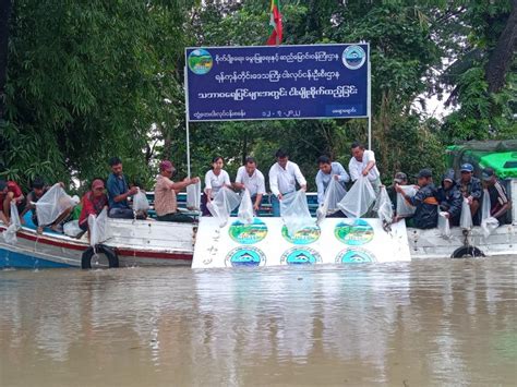 တွံတေးမြို့နယ် ဇီးဖြူကုန်းကျေးရွာရှိ မချောချောင်းအတွင်းသို့ဝါဆိုလပြည့်နေ့ ဓမ္မစကြာအခါတော်နေ့