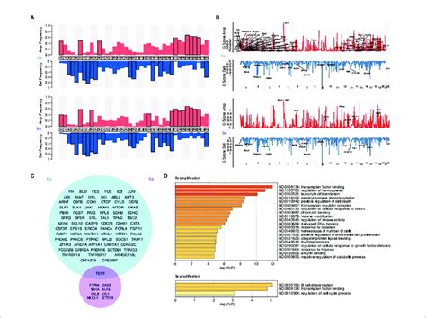 Comparison Of The Copy Number Variations Between The Two Groups And Download Scientific