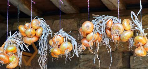 Какво ще се случи с тялото ви ако консумирате кромид лук всеки ден