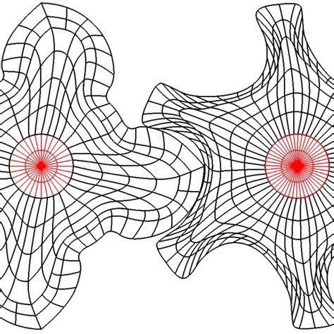 Local Refinement With Thb Splines Allows To Allocate Degrees Of Freedom Download Scientific