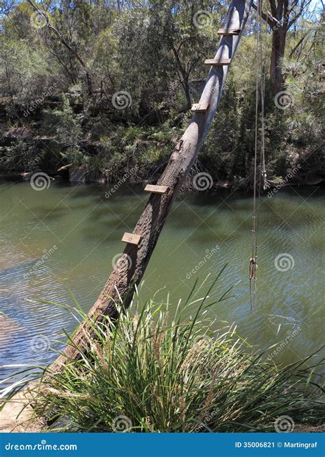 Tree Bent Over River With Swing Australian Countryside Stock Image Image Of Swing Bend