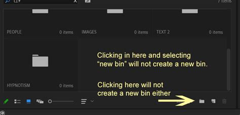 Solved Why Does New Bin Button Not Work Adobe Product Community 12599275