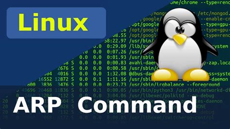 Arp Command Linux Youtube