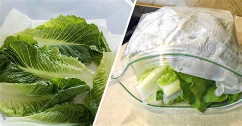 3 საიმედო მეთოდი როგორ შეინახოთ ახალი მწვანილი 60 დღემდე