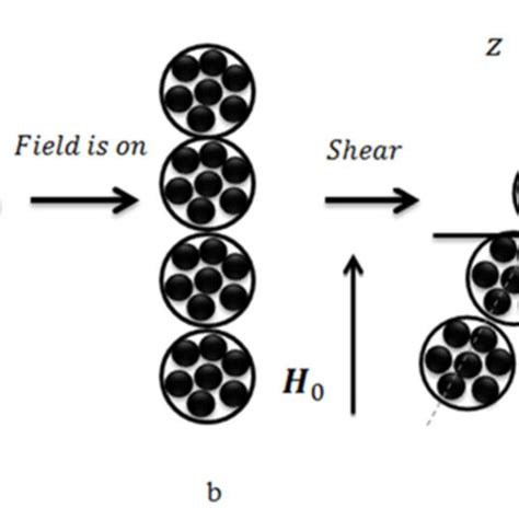 Spherical Agglomerates Of Magnetic Particles Initially Isotropically Download Scientific