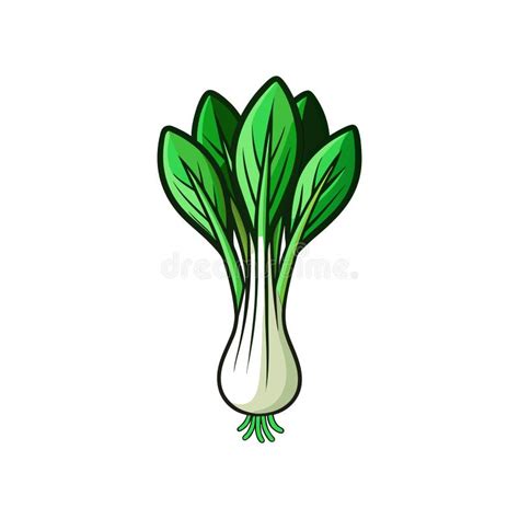 Colorful Ramsons Stock Illustrations 11 Colorful Ramsons Stock Illustrations Vectors