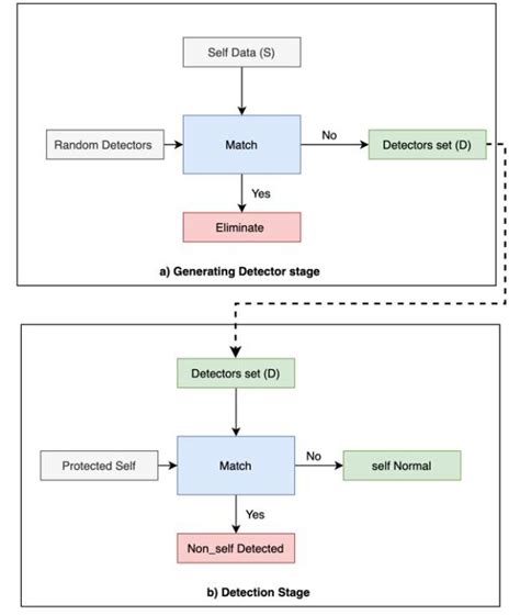 The Main Stages Of Nsa Implementation Download Scientific Diagram
