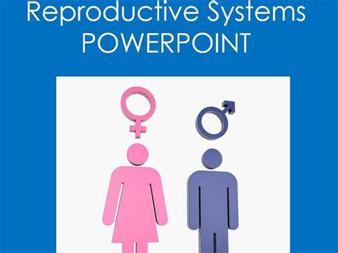 The Reproductive Systems Anatomy And Physiology POWER POINT Teaching Resources