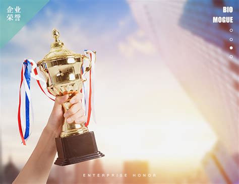 关于摩格 企业官网