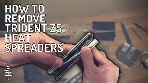 What Is Heat Spreader For Ram At Anita Conway Blog