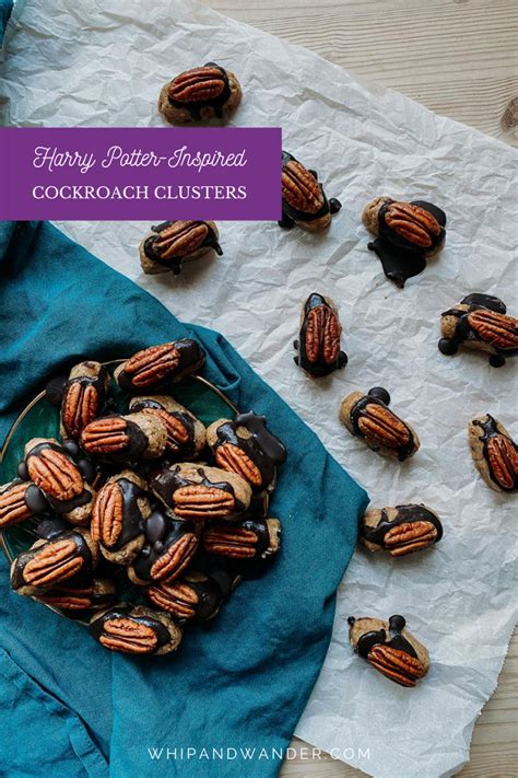 Cockroach Clusters Harry Potter Inspired Whip And Wander