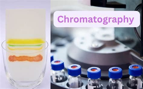 Chromatography Techniques Principles And Applications Aelab Laboratory Equipment And