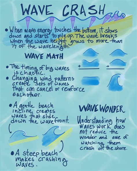 Naturalist S Notebook Making Waves Bay Nature