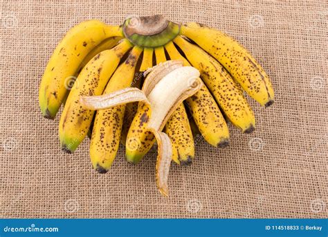 Banana Sbucciata Sul Mazzo Di Banane Freckled Gialle Immagine Stock