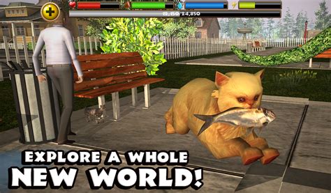 Stray Cat Simulatorappstore For Android