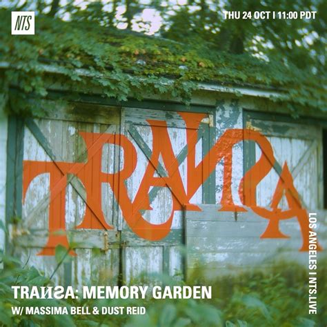 Massima Bell Massimabell • Instagram Photos And Videos