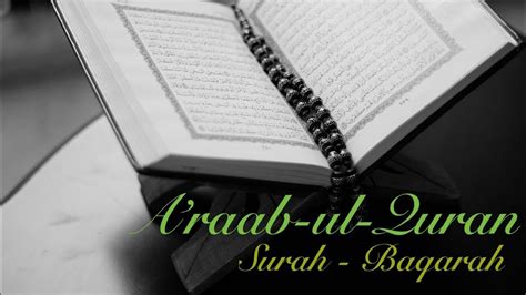 Surah Baqarah Ayat 158 159 Araab Ul Quran Youtube