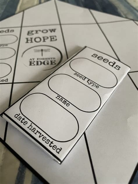 How To Save Seeds For Next Year S Harvest Protecting A Legacy