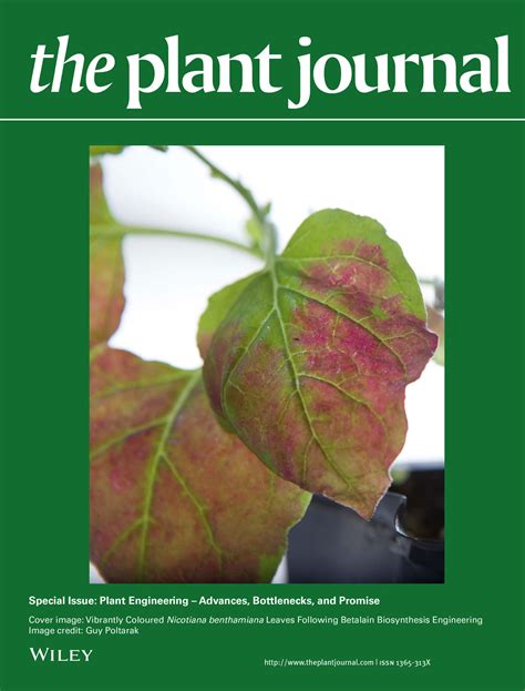 Special Issue Plant Engineering — Advances Bottlenecks And Promise The Plant Journal