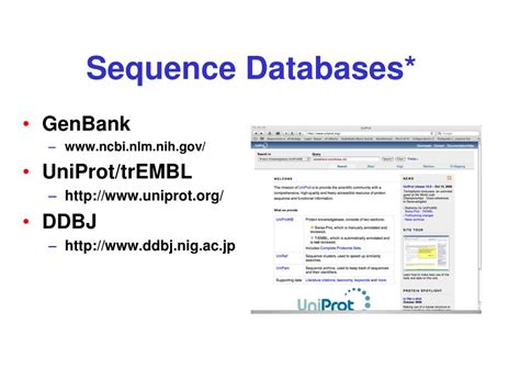Ppt Genome Annotation Powerpoint Presentation Free Download Id4573708