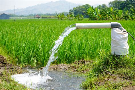 펌프 우물을 사용하여 논을 관개하여 땅에서 물을 펌핑하여 논으로 흘러 들어가는 기술 관개 운하에서 물이 펌핑되는 펌핑 스테이션 0명에 대한 스톡 사진 및 기타 이미지