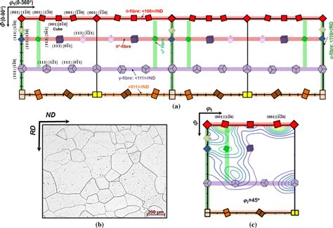 Texture And Microstructure Of The Hot Band After Annealing A Texture Download Scientific