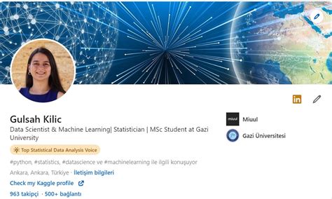 Linkedintopvoice Dataanalysis Statistics Gulsah Kilic 26 Comments