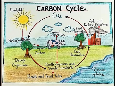 How To Draw Carbon Dioxide