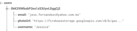 Firebase Snapshot Working Correctly To Retrieve User Info But Not Being Able To Retrieve Profile