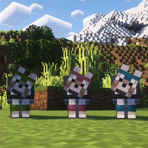 Colourful Wolf Armour Minecraft Resource Pack