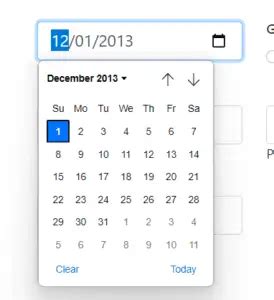 How To Add Date And Time Picker On Jsp And Html Page Codebun