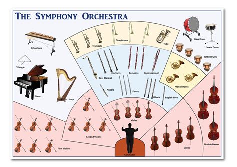 The Symphony Orchestra Guide To The Main Sections Symphony Orchestra