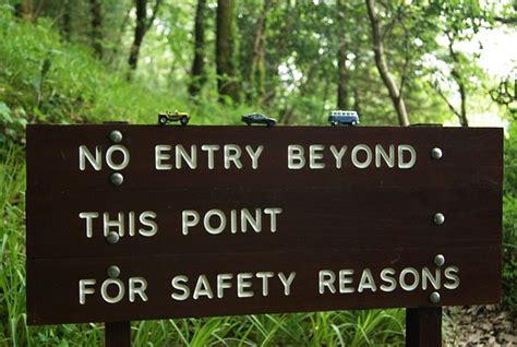 Sign Trail Forest Free Photo On Pixabay Pixabay