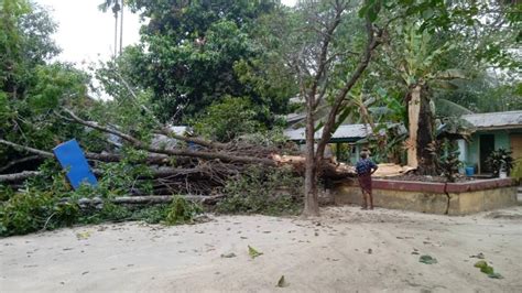 သာယာဝတီမြို့နယ်တွင် လေပြင်းတိုက်ခတ်မှုကြောင့် အင်ကြင်းပင် ပင်စည်မှလဲက