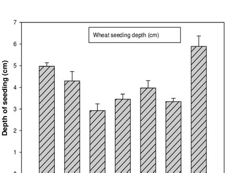 A Seeding Depth For Wheat Seeding Kulumsa Research Center B Download Scientific Diagram