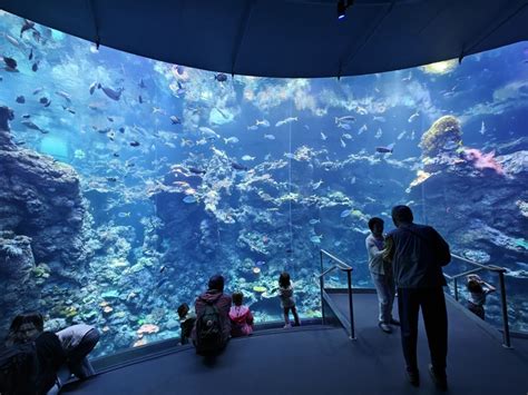 Steinhart Aquarium San Francisco Ca Information Tickets And Reviews