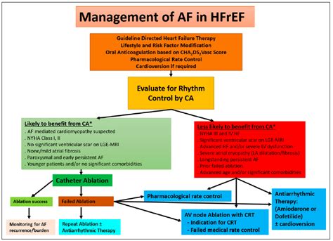 Sinfonía Gladys Generador fibrilacion auricular algoritmo desagüe Entretenimiento Destructivo