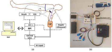 Device Schematic And Photographic Representation A Functional