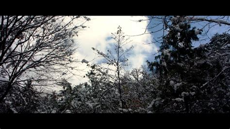 2024 겨울 11월 대설 후 산의 풍경 Uhd Exportraw Youtube