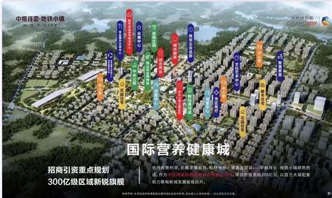 武汉中粮祥云地铁小镇规划图1 吉屋网