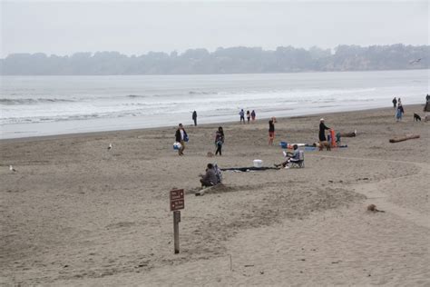 Stinson Beach Live Weather Cam At Jeffery Vaughn Blog