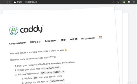 Caddy一个简单高效的web服务器什么是caddy Caddy是一个现代2网络服务器与软件包管理器。它是开源 掘金