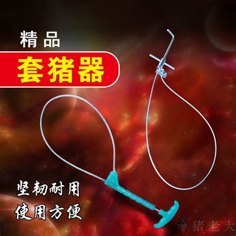 不锈钢金属套猪器猪用挂钩保定器兽用固定套猪器仔猪抓猪器 虎窝淘
