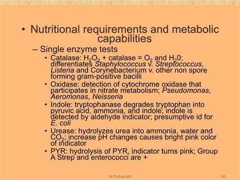 Identification Of Bacteria Pptx