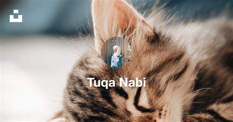 Tuqa Nabi Tuqa Komunitas Foto Unsplash