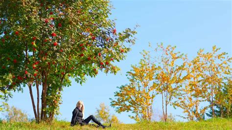 Ash Tree Guide What Is It 15 Common Species Of Ash Trees