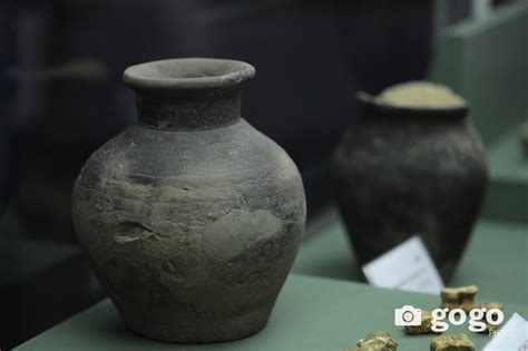 ФОТО Евразид маш ховорт тооцогдох Монголоос олдсон археологийн олдворуудыг дэлгэлээ