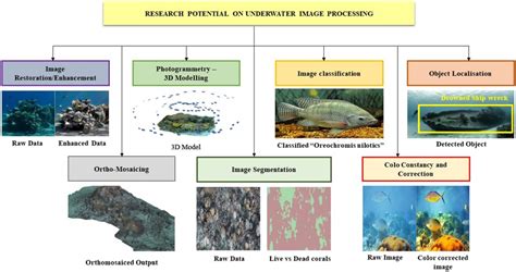 Visual Framework On Research Paradigms Of Underwater Image Processing