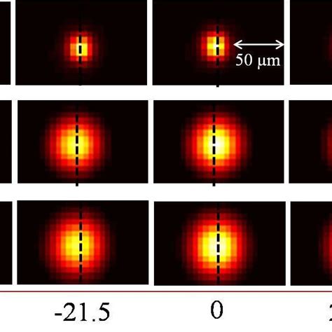 Cross Correlation Of Image Intensities Download Scientific Diagram