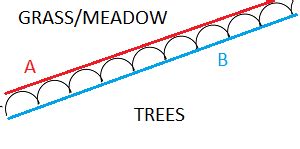 Drafting Is There A Standard For Where Treelines Are Drawn Engineering Stack Exchange